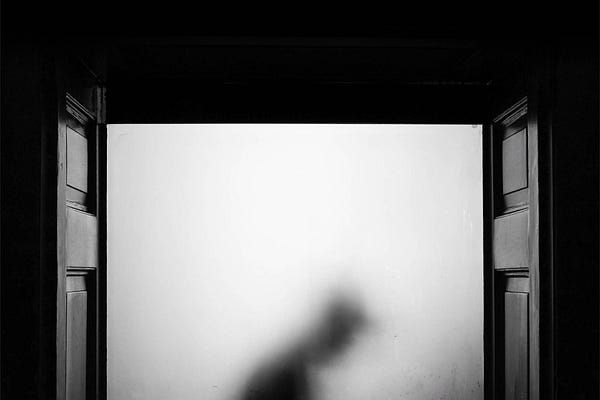 PHOTOSNACK | Tomasz Trzebiatowski | Substack