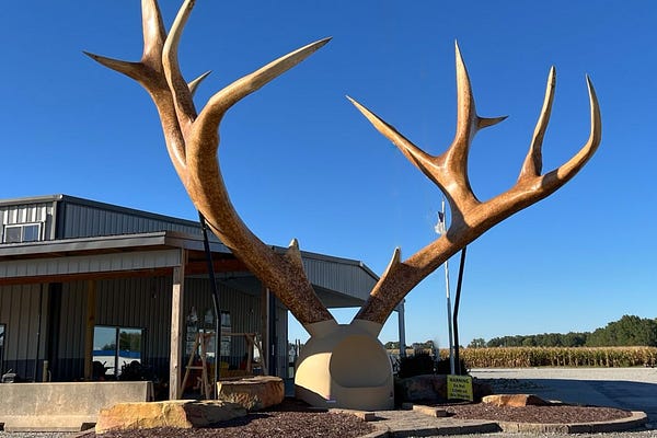 Letters From Turkey Town | Tina Hedin | Substack