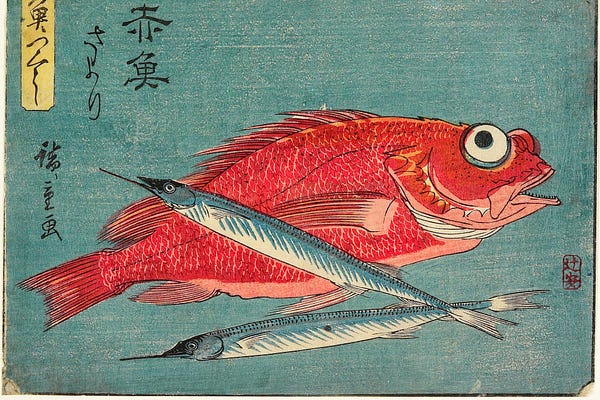 Oldster Magazine | Sari Botton | Substack