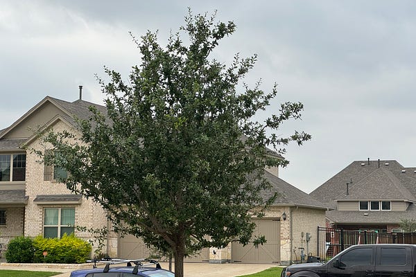 "Dear Jon" | Jonathon M. Seidl | Substack