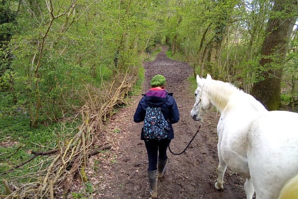 The Painted Caravan | Isabella Ann | Substack