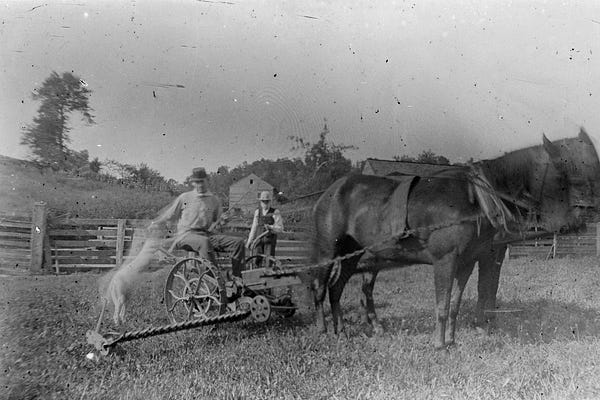 Aesthetic Resistance | Johan Eddebo | Substack