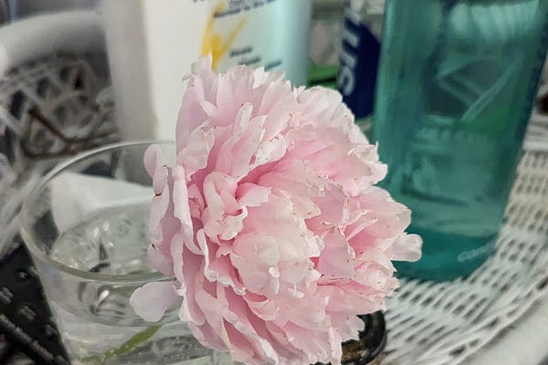 Pickle by Steph March | Stephanie March | Substack