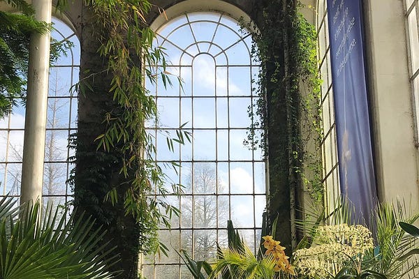 Haver & Sparrow | Charlene Storey | Substack