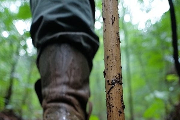 The 'Muddy Boots' Blog with A. Thomas Kozubal | Substack