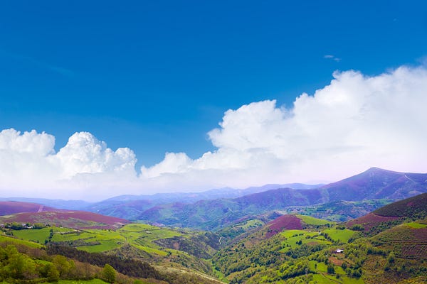 School of the Unconformed | Ruth Gaskovski | Substack