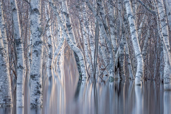 J.K. Putnam Photography | John K. Putnam | Substack