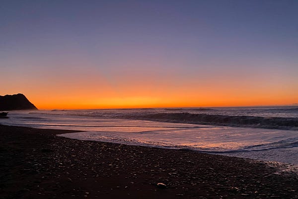 The Toha Network | Substack