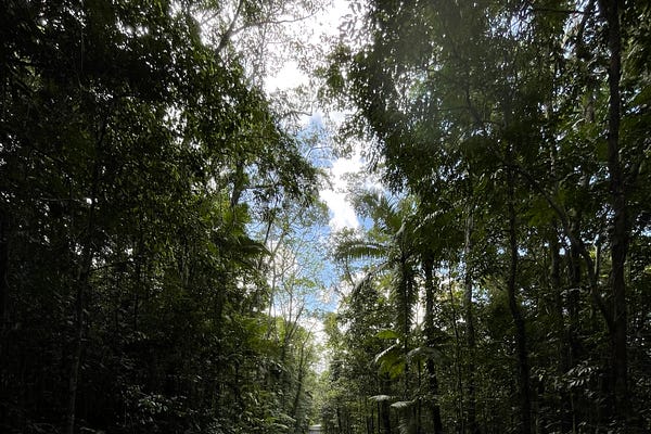 Maurice's Travel Blog | Maurice Moore | Substack