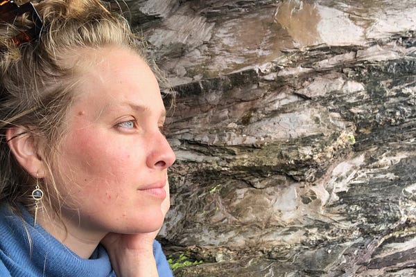 The Pollen Basket | Sylvia V. Linsteadt | Substack