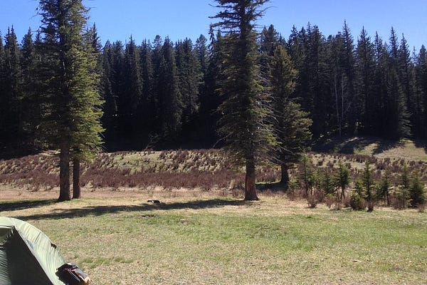 Cloudcroft Reader | Chris Hearne | Substack