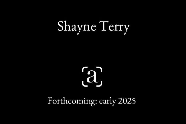 The Next Novel | Shayne Terry | Substack
