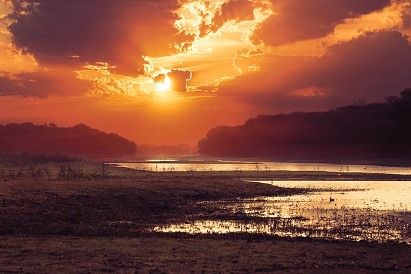 Boyar Research | Substack