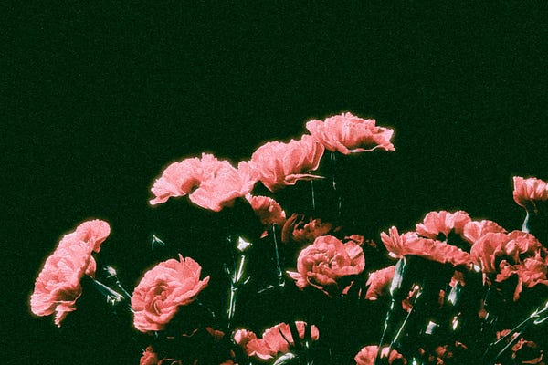 Like Water Over Moss | Amanda | Substack