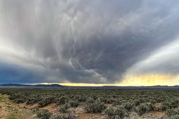 Letters From Turkey Town | Tina Hedin | Substack