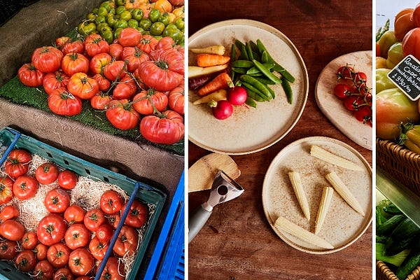 Shell’s Substack | Substack