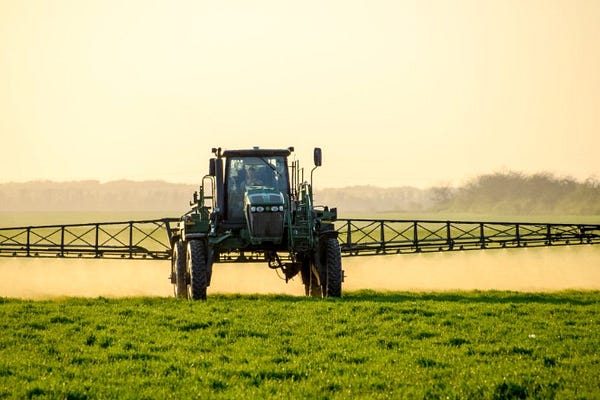 ImmunoLogic | Dr. Andrea Love | Substack