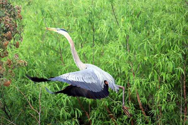 Unleash Lit | Substack