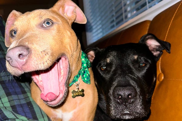 Volts | David Roberts | Substack