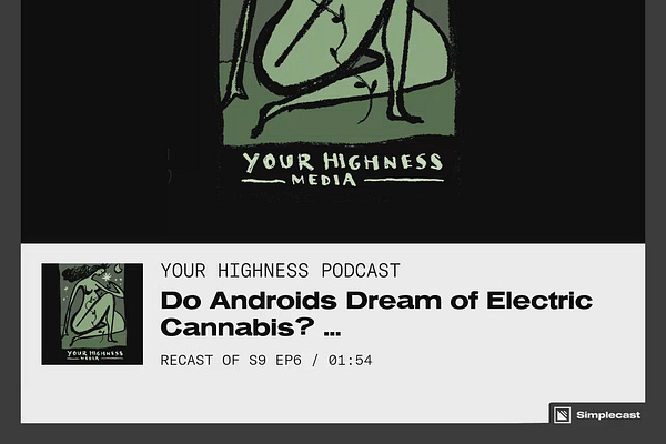 Your Highness Media | DIANA | Substack