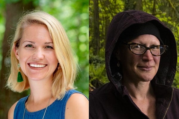 Volts | David Roberts | Substack