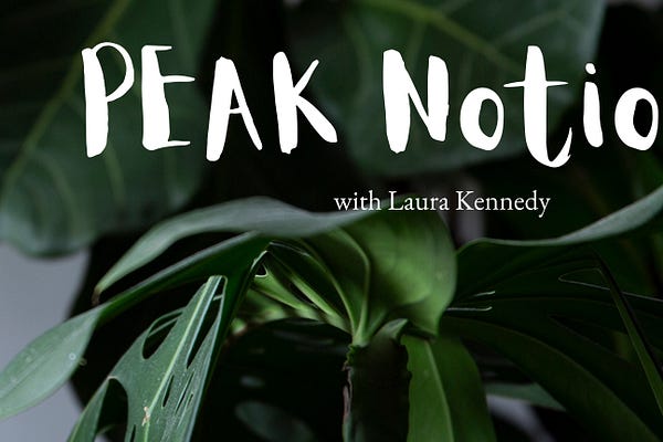 Peak Notions with Laura Kennedy | Substack