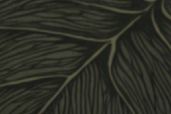 The Legend of Leanna Page | Cedar Flyte | Substack