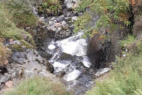 Shell’s Substack | Substack