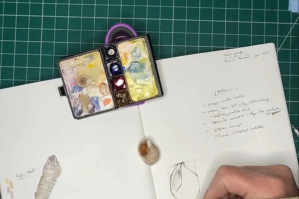 Cricklewood Nature Journal | Susannah Fisher | Substack