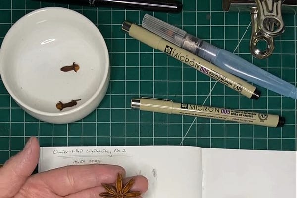 Cricklewood Nature Journal | Susannah Fisher | Substack