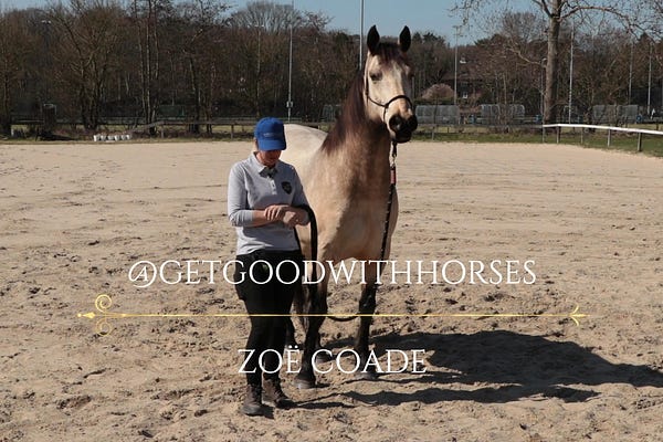 Curious Equestrian | Substack