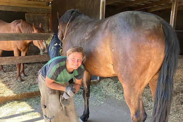 Curious Equestrian | Substack