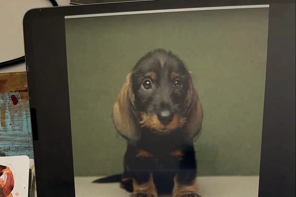 The Travelling Artist | Jo Scott | Substack