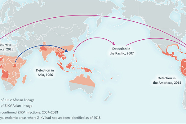 Scientific Discovery | Saloni Dattani | Substack