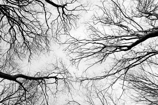 Peter Daou | Substack