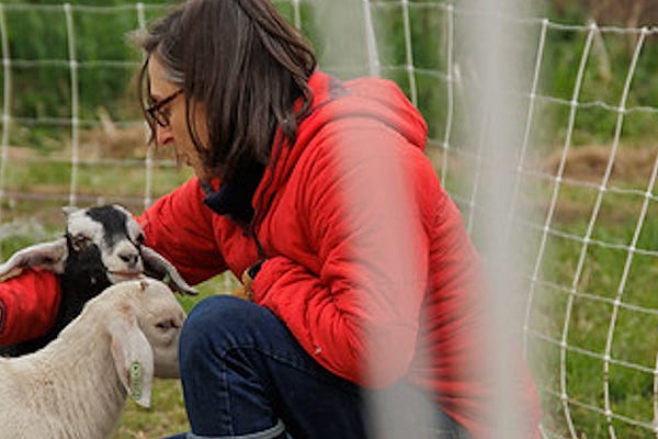 In the Dirt | Beth Hoffman | Substack