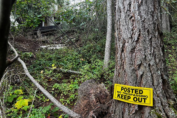 On the Commons | Antonia Malchik | Substack