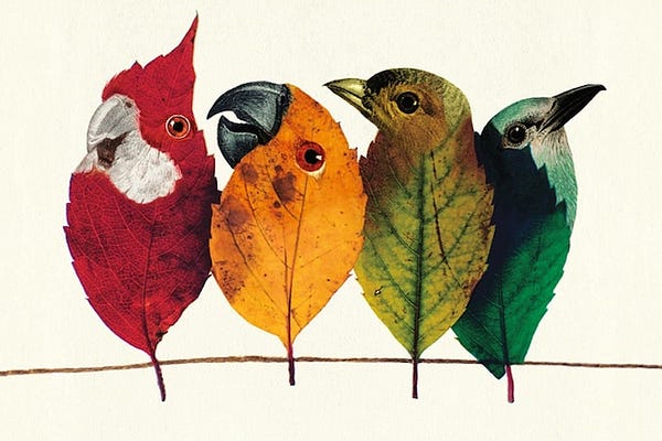 Curious About Everything | Jodi Ettenberg | Substack