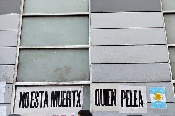 correio do sul do sul | renata | Substack