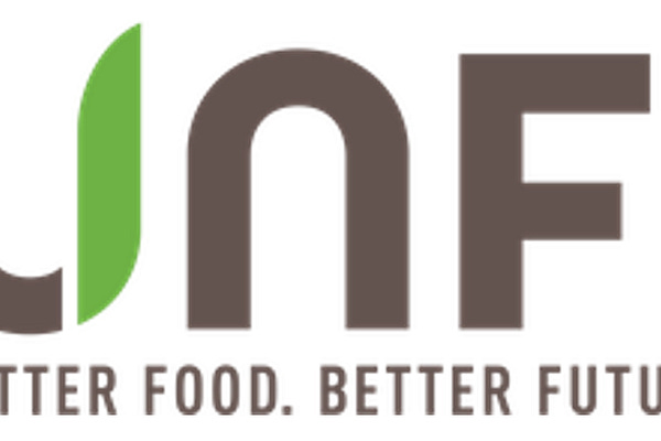 Turtle Capital by Adrià Rivero | Substack