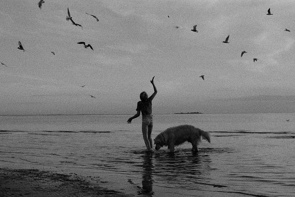 beneath the pavement | Antonio Melonio | Substack