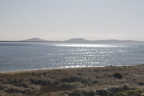 Mind Flexing | Alia Parker | Substack