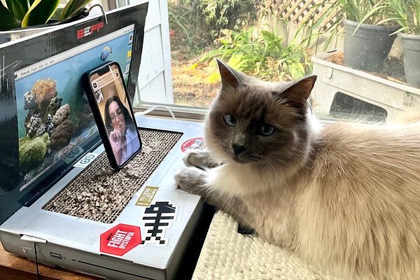 Projectkin Community Forum | Barbara at Projectkin | Substack