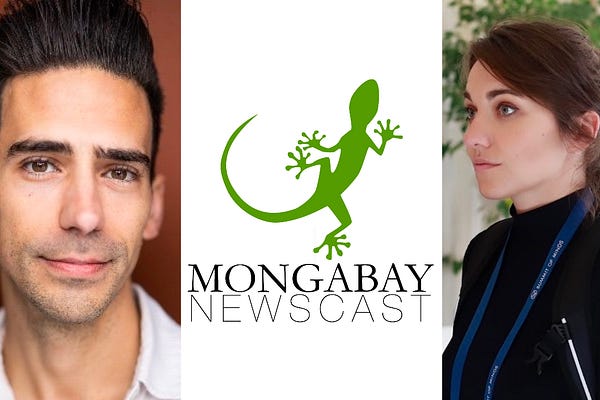 Planet: Critical | Rachel Donald | Substack