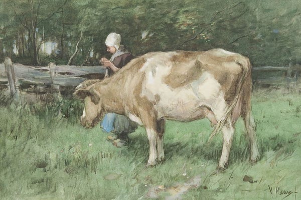 Slowdown Farmstead | Tara | Substack