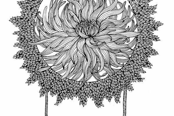 Jenny’s Substack - Let's art together | Jenny Lawson (thebloggess) | Substack