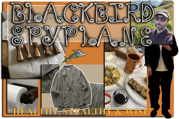 Blackbird Spyplane | Substack