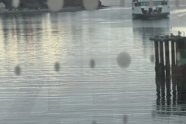 Tell Me Something True | Maia Toll | Substack