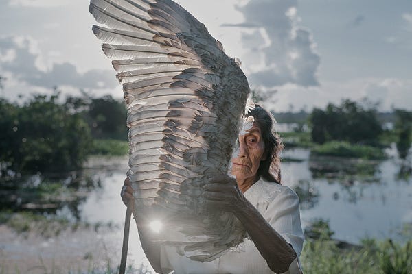 FlakPhoto Digest | Andy Adams | Substack