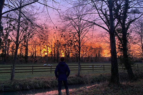 Screenbreak | Julien Rousset | Substack